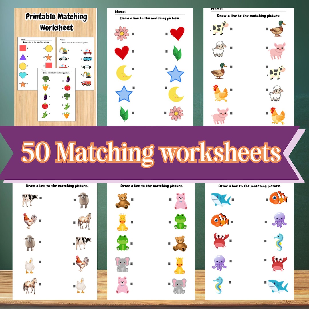 Matching Worksheets Bundle: Preschool Learning Activities (PDF Download ...