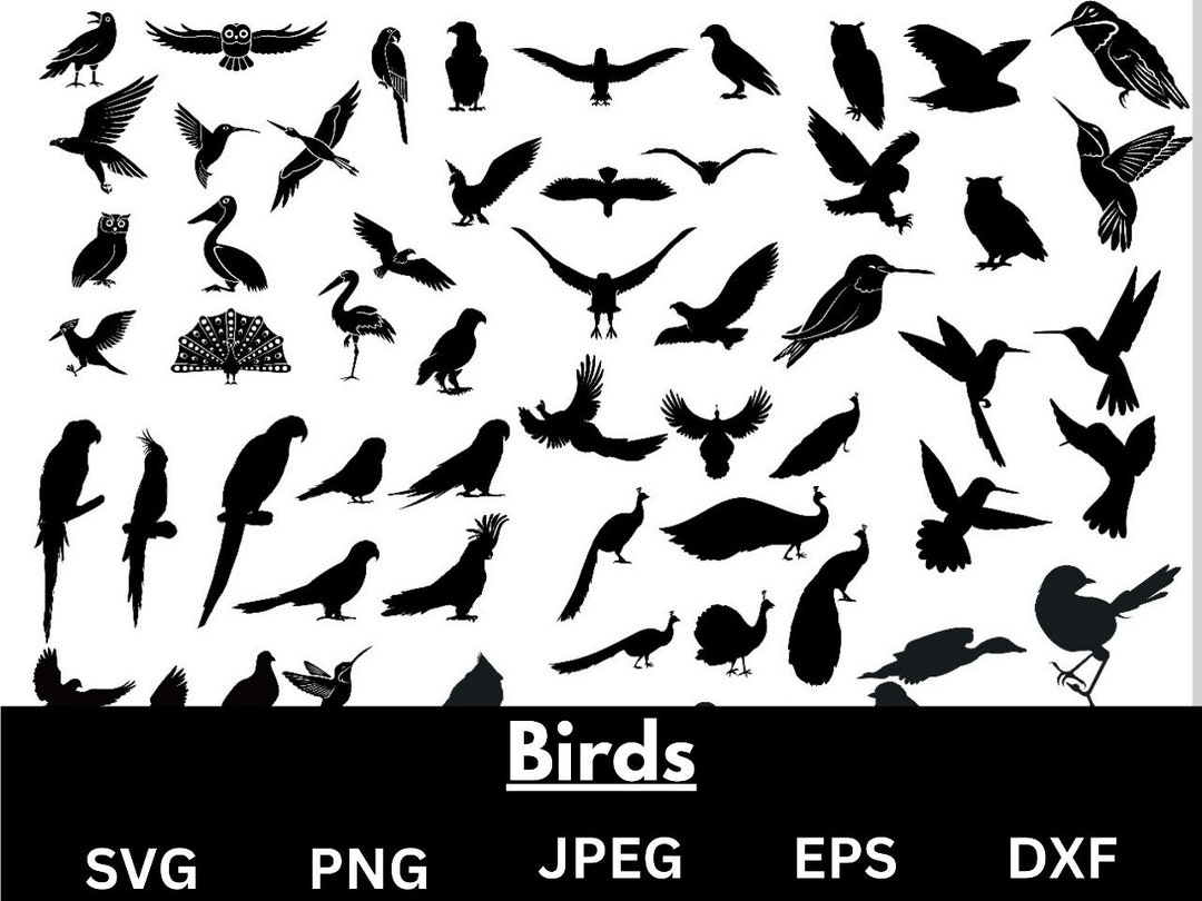 Birds Svg Bundle Flying Bird Svg Bird Clipart Bird Silhouette Svg, Svg ...