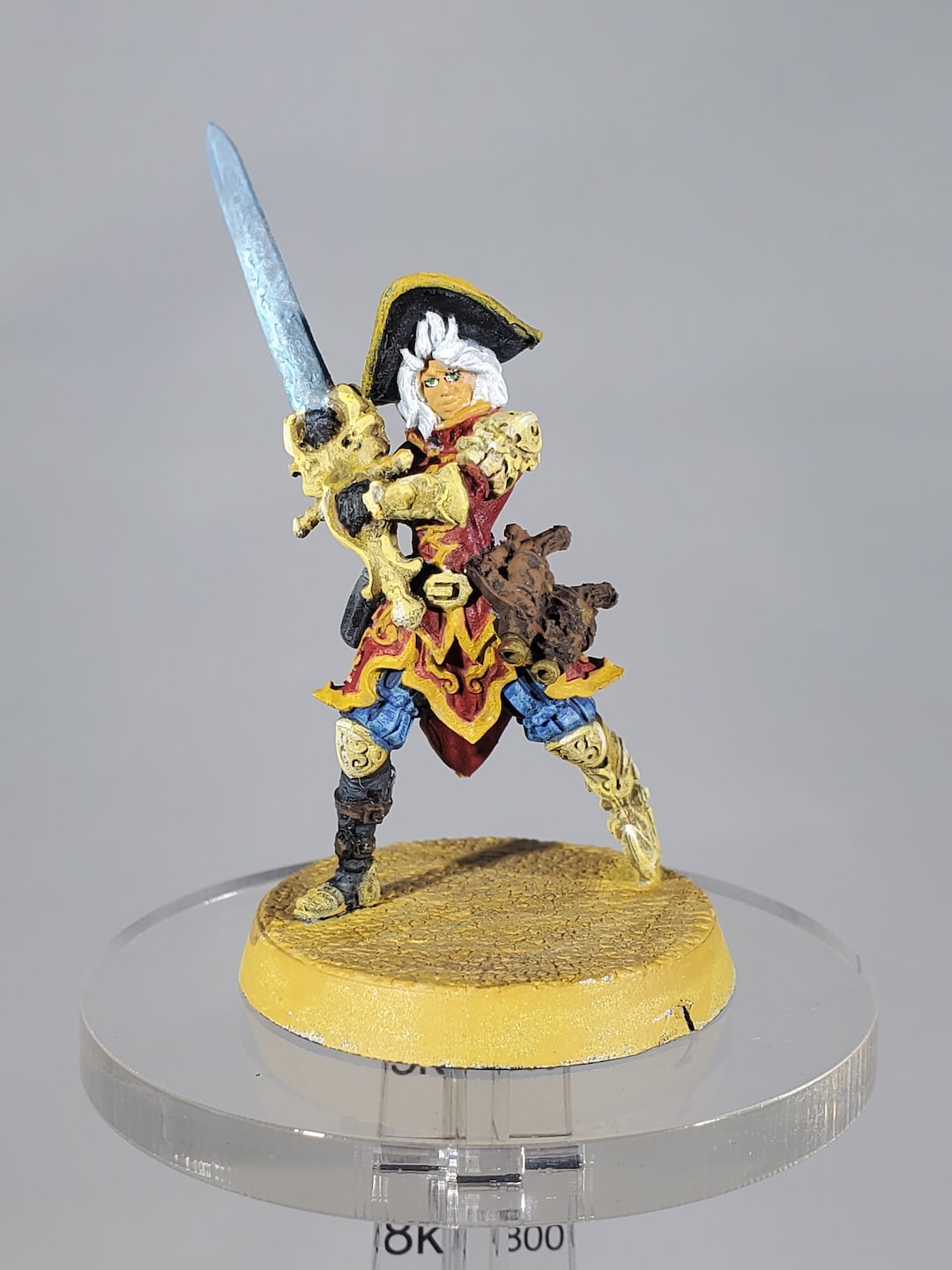 Female Swashbuckler/pirate Captain Miniature - Etsy Singapore