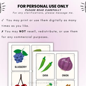 Fruits and Vegetables Flash Cards 110 Bundle Foods Illustration ...