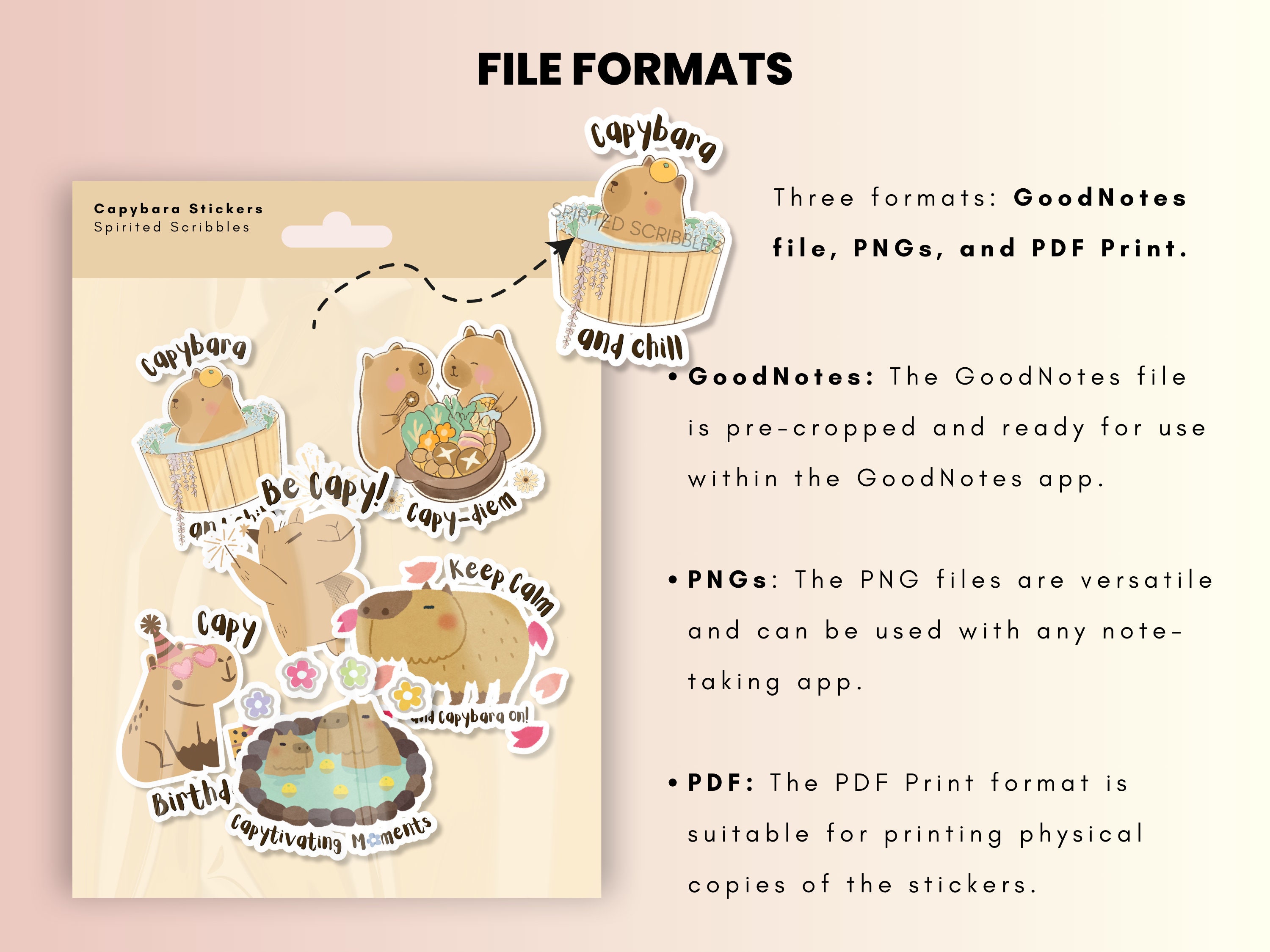 Capybara Sticker Set, Cute Animal Digital Stickers, Goodnotes, PNG ...