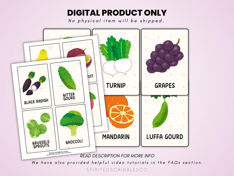 Fruits and Vegetables Flash Cards 110 Bundle Foods Illustration ...