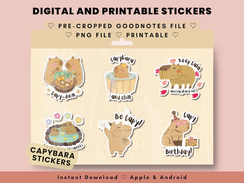 Capybara Sticker Set Cute Animal Digital Stickers Precropped Goodnotes ...