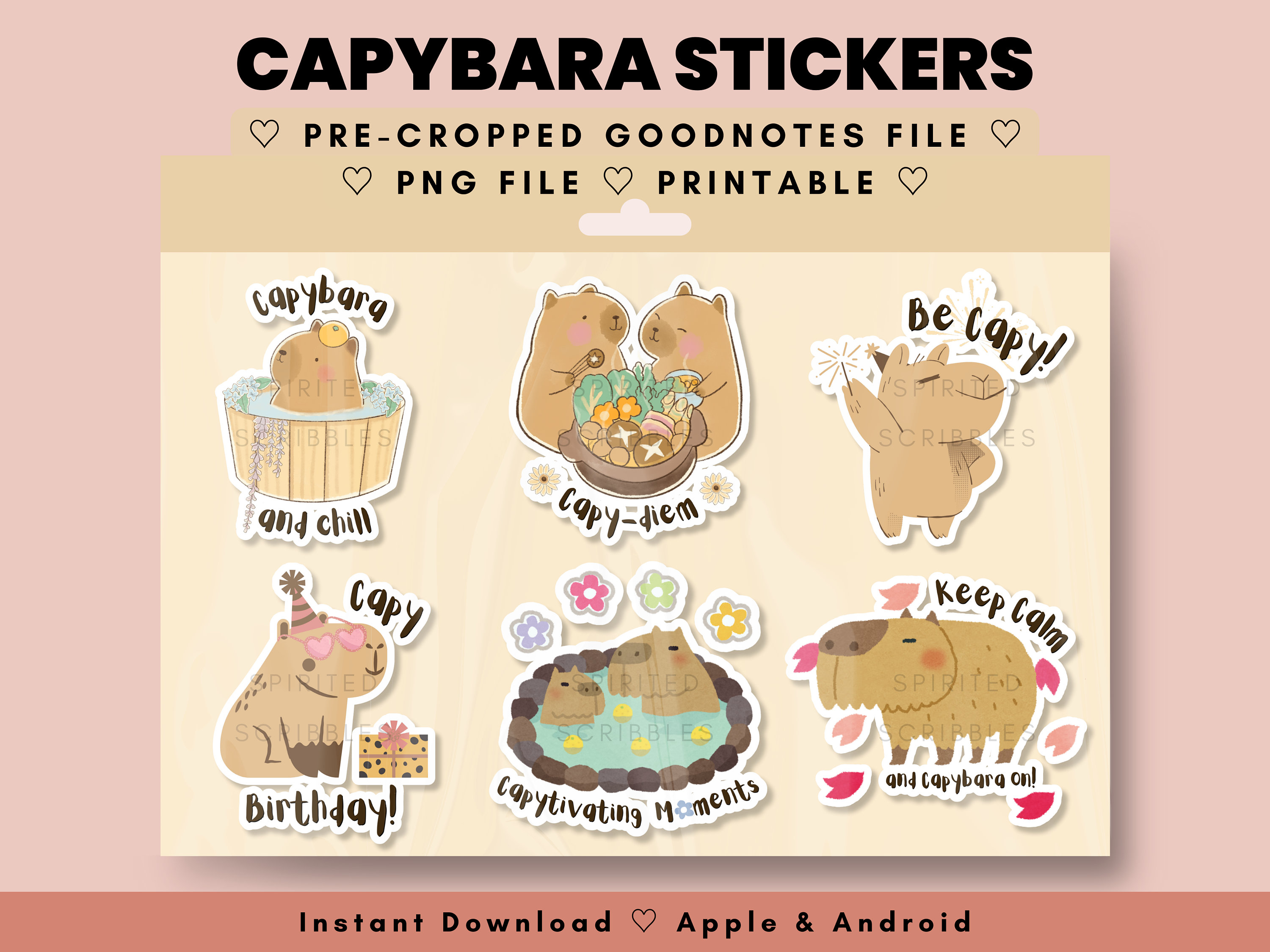 Capybara Sticker Set, Cute Animal Digital Stickers, Goodnotes, PNG ...