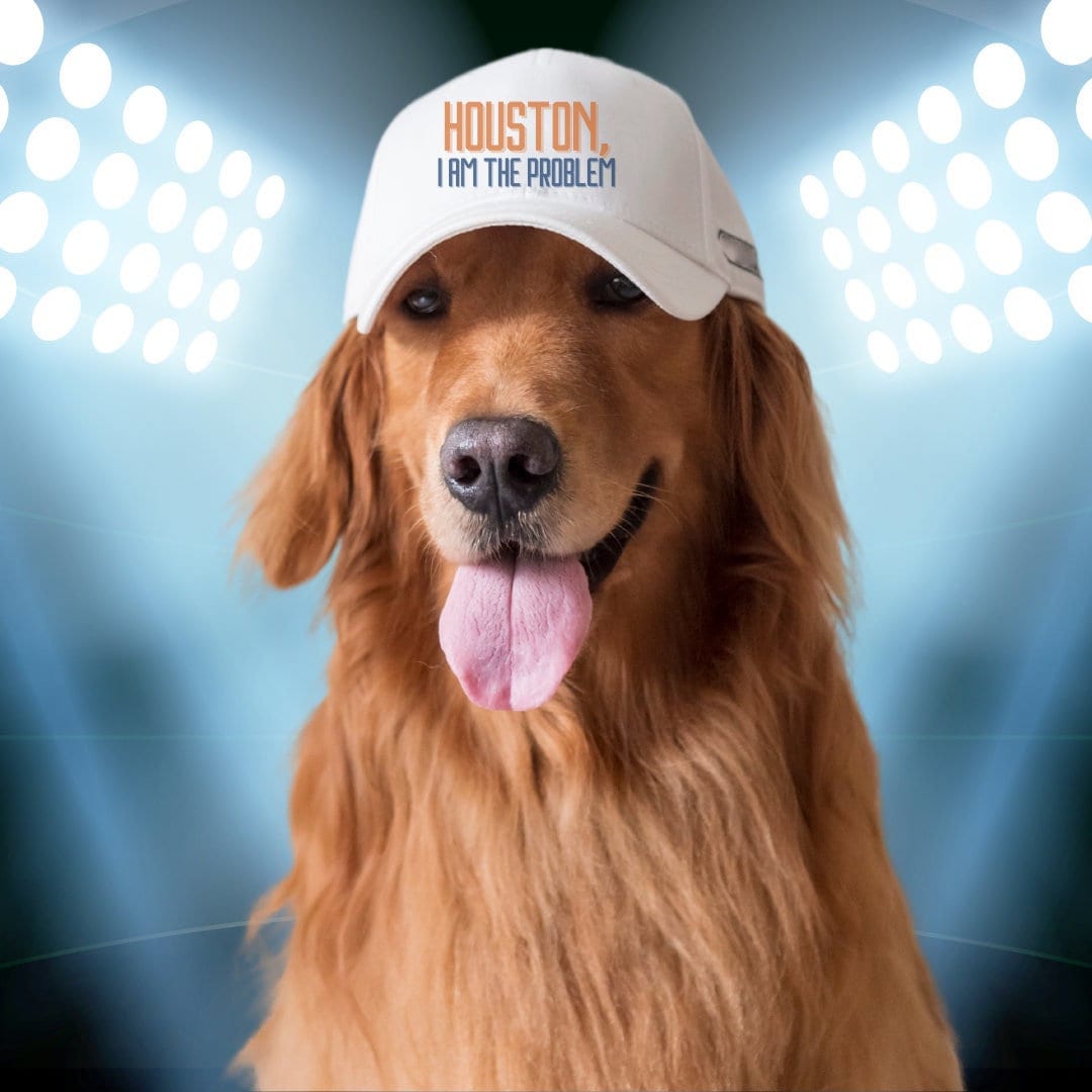 Houston, I Am the Problem Baseball Cap - Low Profile Baseball Cap - Etsy