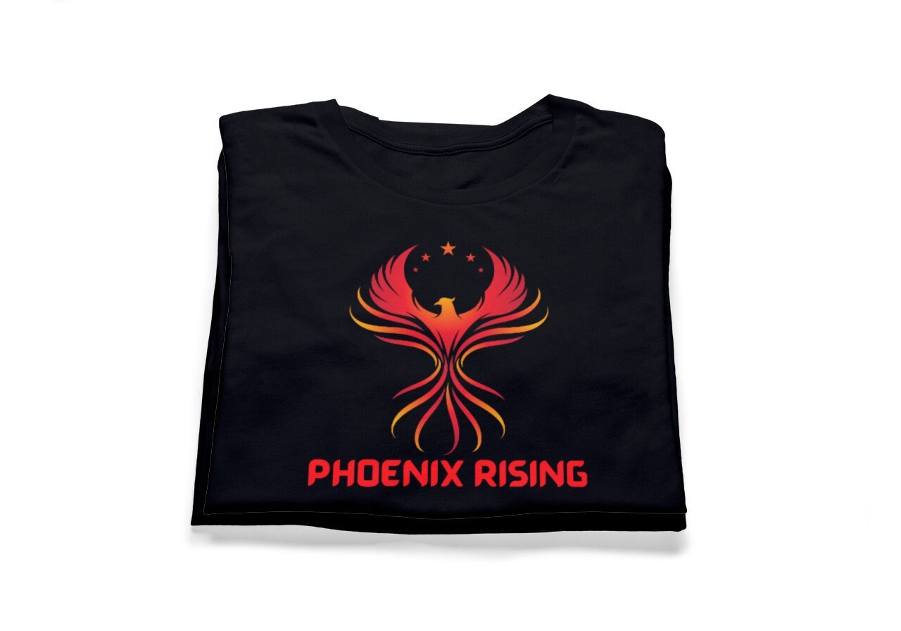 Addiction Recovery SVG, Rising Phoenix Svg, Addiction, Sobriety, AA, NA ...