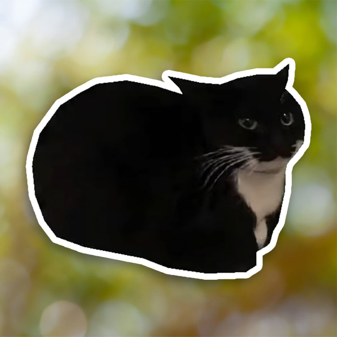 Maxwell Cat Meme Sticker, Funny Sticker Waterproof for Laptop, Car ...