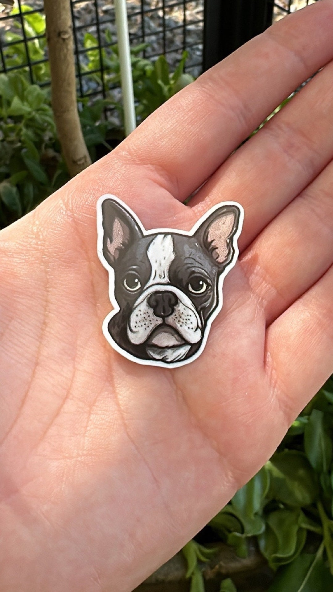 Funny Boston Terrier Sticker: Waterproof Dog Laptop Decal - Etsy