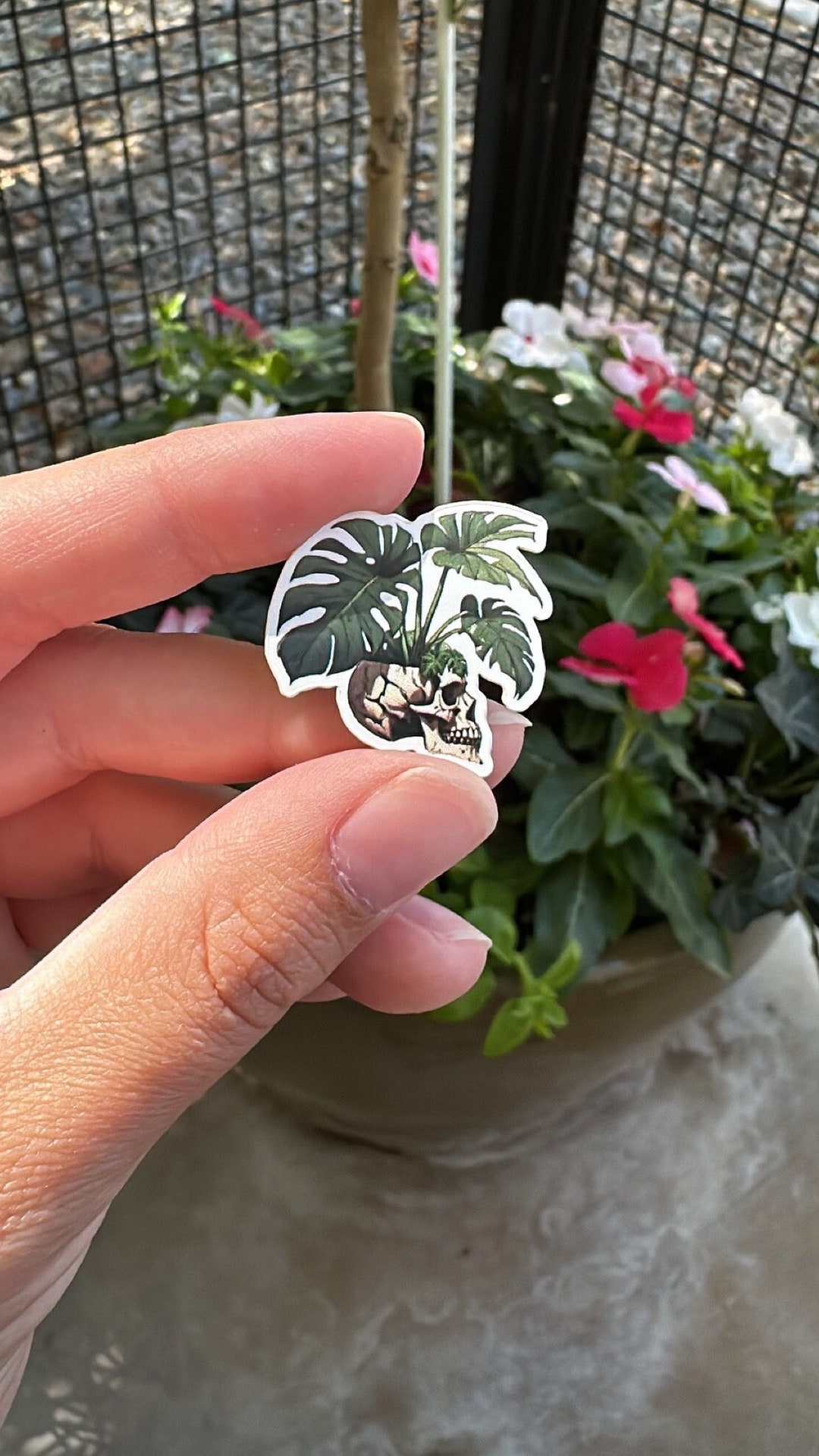 Monstera in Skull Sticker, Funny Sticker, Kindle Sticker, Tiny Sticker ...