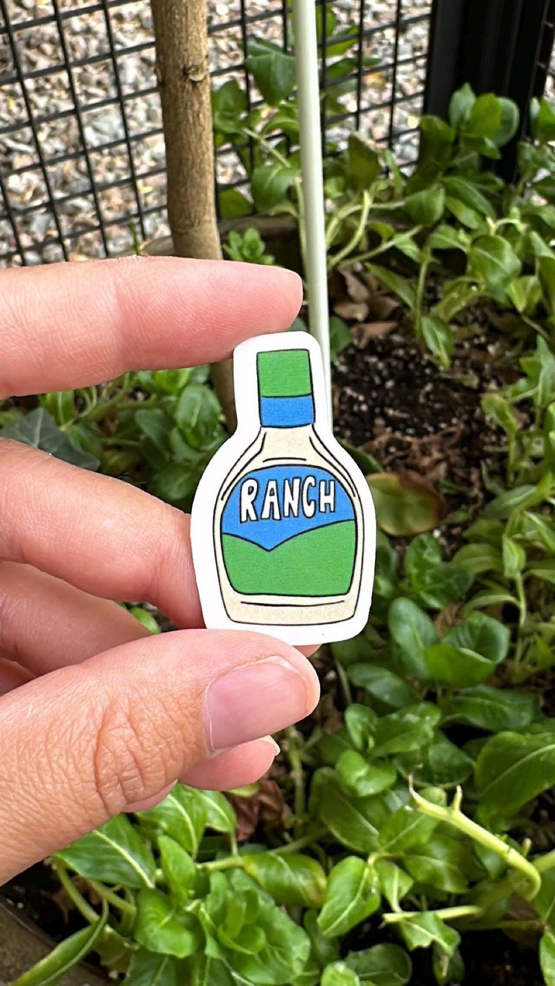 Bottle of Ranch Sticker Funny for Ranch Lovers Funny Gift - Etsy