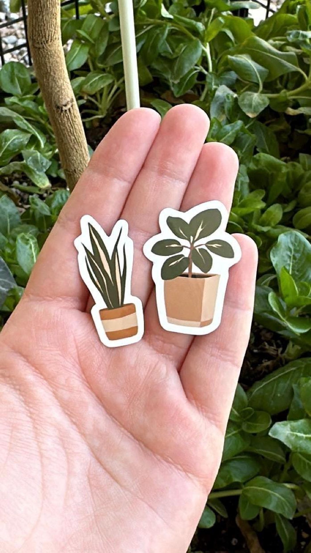 Snake Plant Sticker, Rubber Plant Sticker, Tiny Sticker, Plant Sticker ...