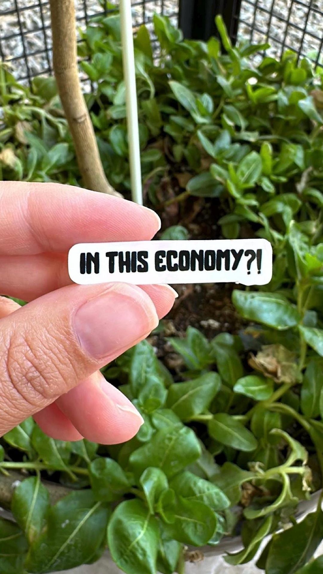 Funny "in This Economy?" Sticker - Waterproof Laptop Decal - Etsy
