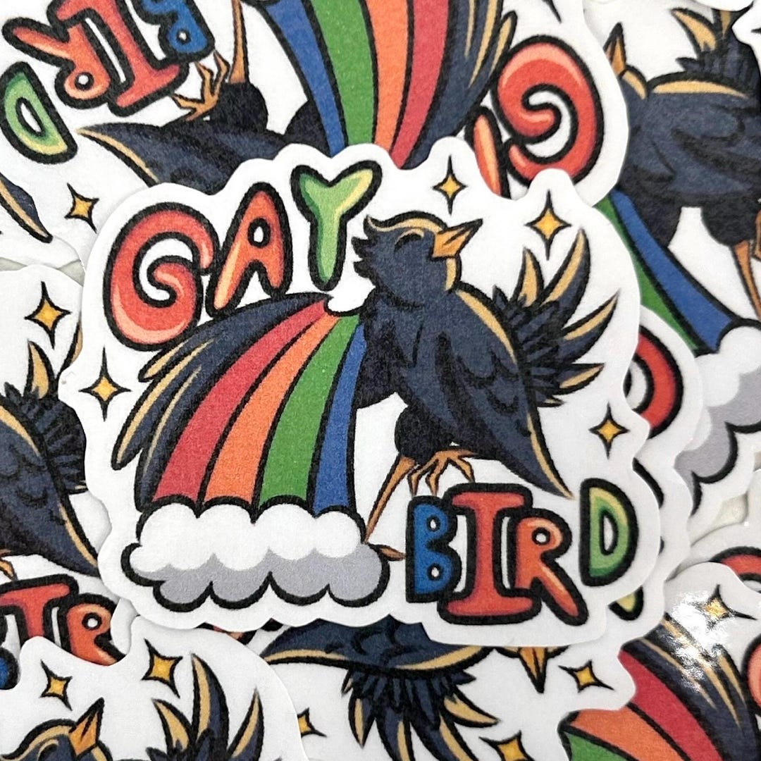 2 X 1.5 Gay Pride Bird Laminated Sticker - Etsy