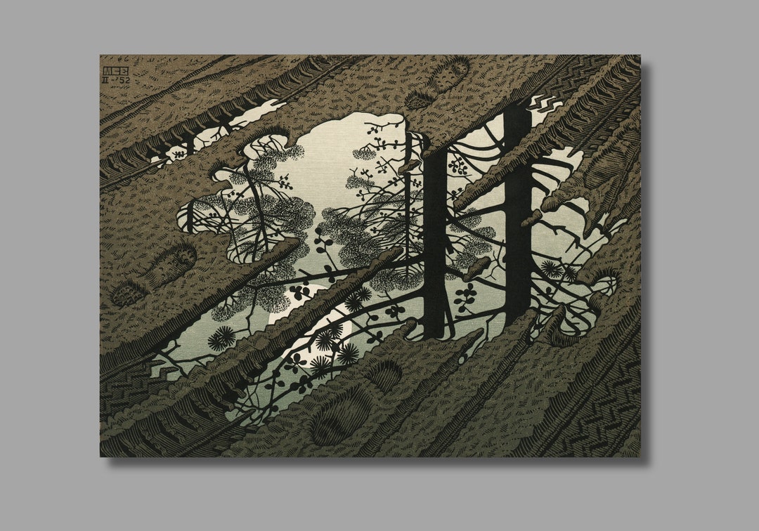 M.C. Escher Puddle Art Print,surrealist Canvas Poster, Fantasy Print ...