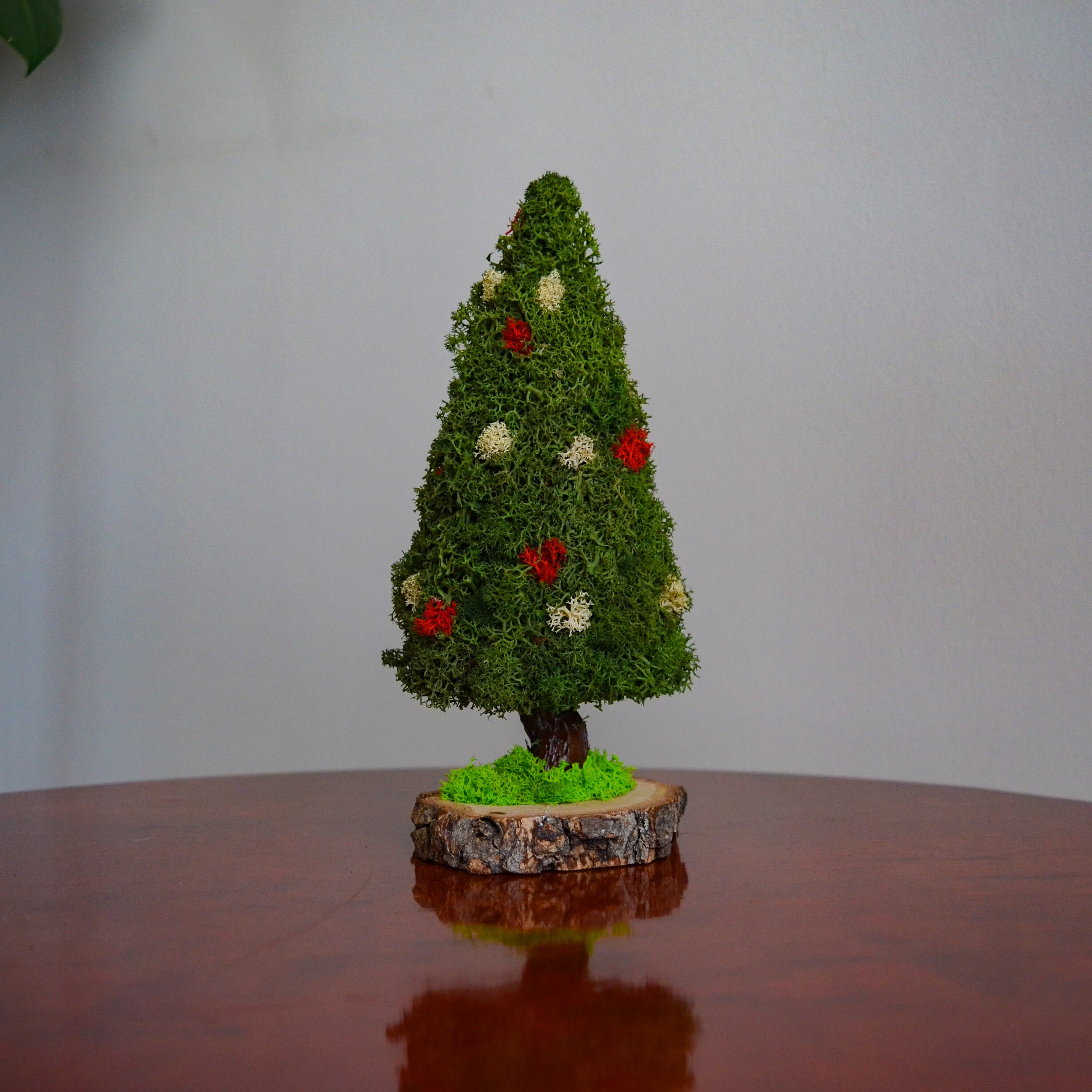 Christmas Tree Made of Preserved Moss Miniature Christmas - Etsy