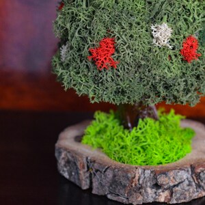 Christmas Tree Made of Preserved Moss Miniature Christmas - Etsy