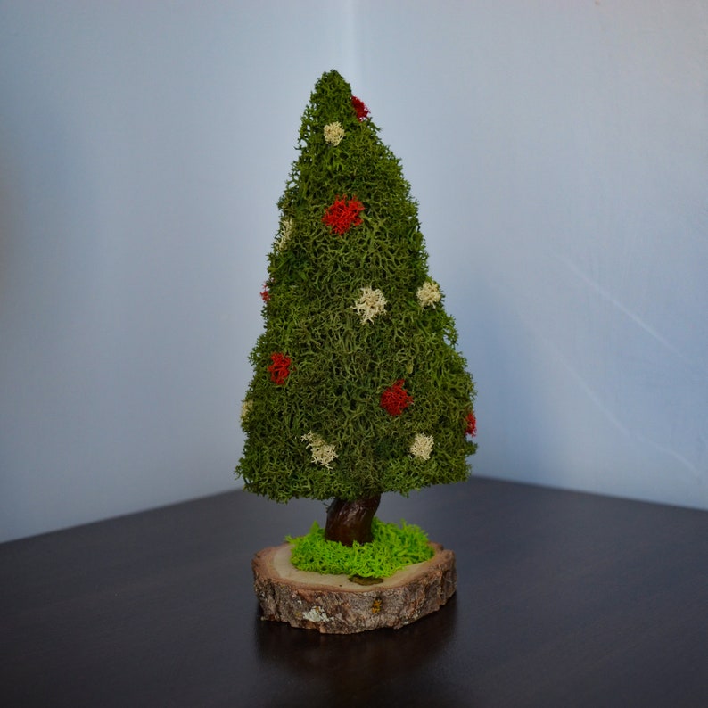 Christmas Tree Made of Preserved Moss Miniature Christmas - Etsy