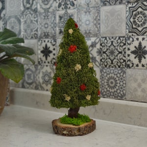 Christmas Tree Made of Preserved Moss Miniature Christmas - Etsy