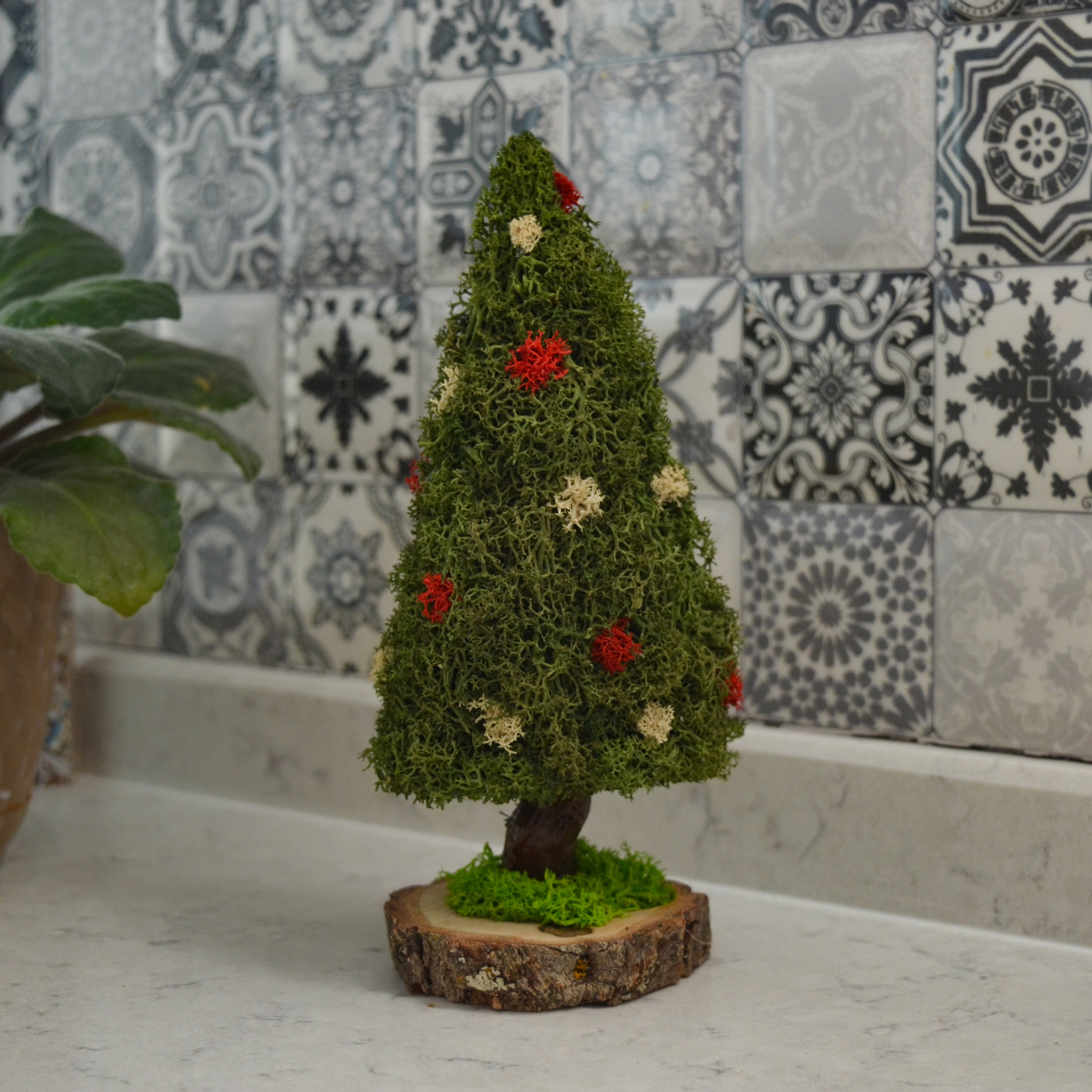 Christmas Tree Made of Preserved Moss Miniature Christmas - Etsy