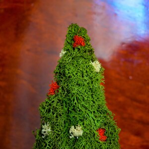 Christmas Tree Made of Preserved Moss Miniature Christmas - Etsy