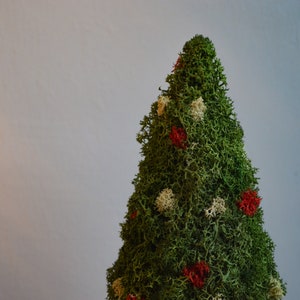 Christmas Tree Made of Preserved Moss Miniature Christmas - Etsy