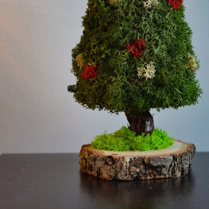 Christmas Tree Made of Preserved Moss Miniature Christmas - Etsy