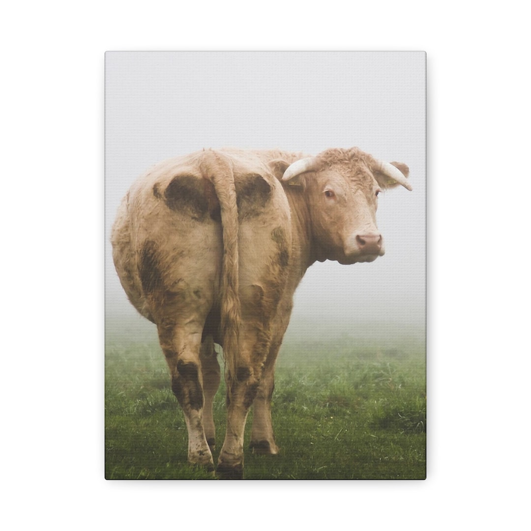 Brown Cow Matte Canvas, Stretched - Etsy