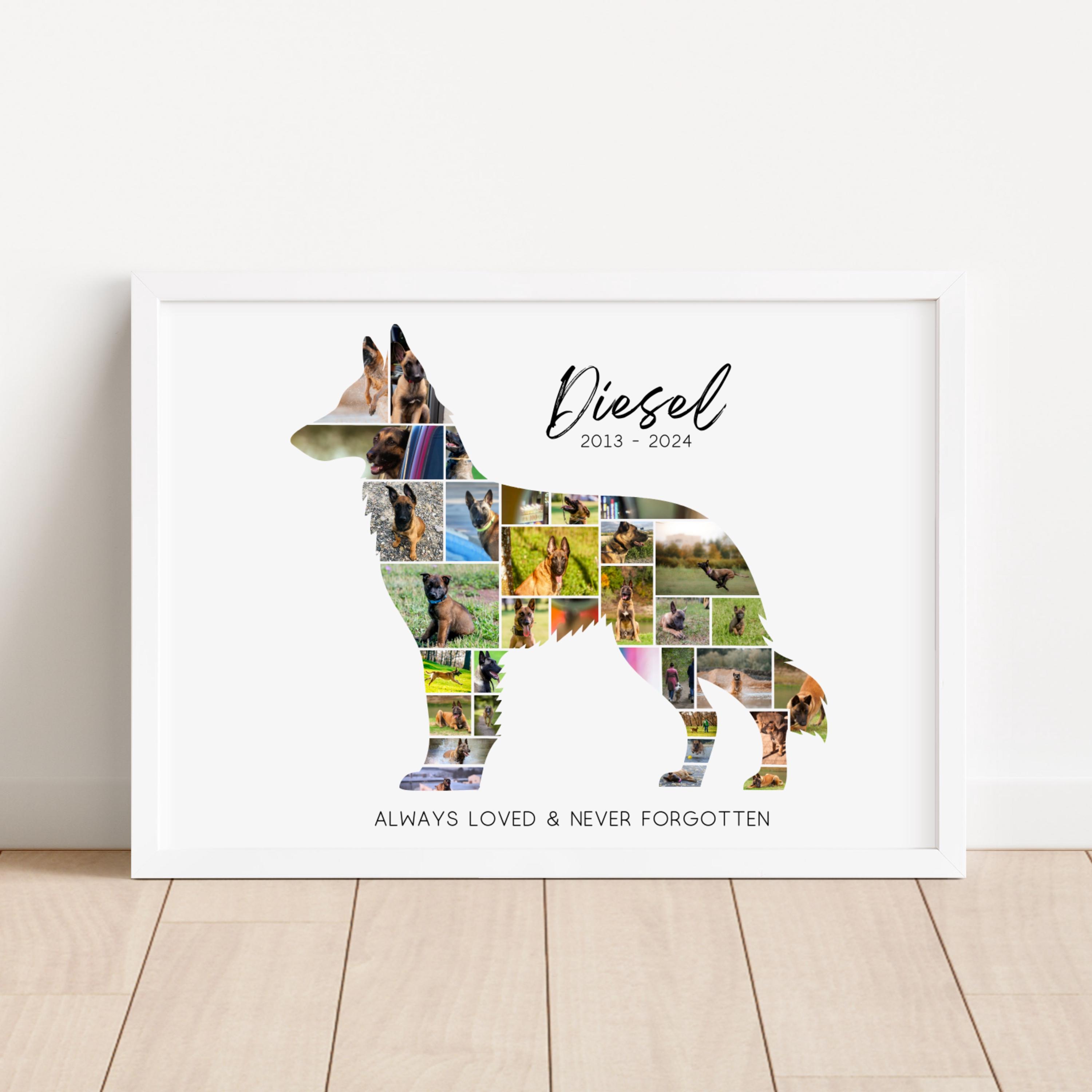 Personalizable Dog Memorial Photo Collage Picture, Pet Loss Gift, Pet ...