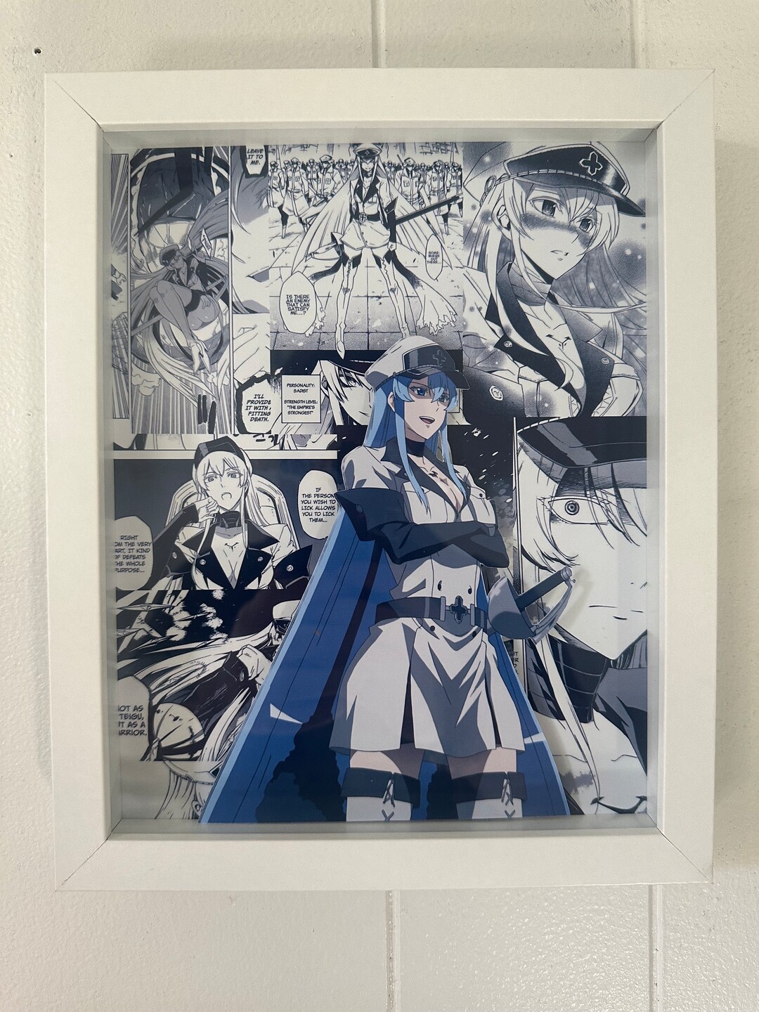 Esdeath Shadow Box Frame - Etsy