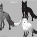 Hellhound Reference Sheet Base, Wolf and Canine Base, Canine Wolf ...