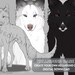 Hellhound Reference Sheet Base, Wolf and Canine Base, Canine Wolf ...