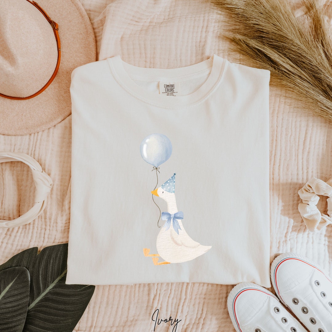Silly Goose Birthday Shirt, Comfort Colors Tee, Birthday Shirts ...