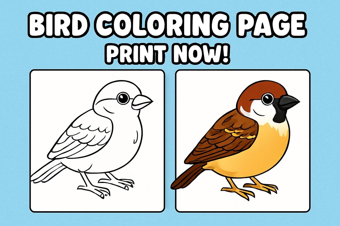 Sparrow Coloring Page: Kids Printable Activity (digital Download, 8.5x8 ...