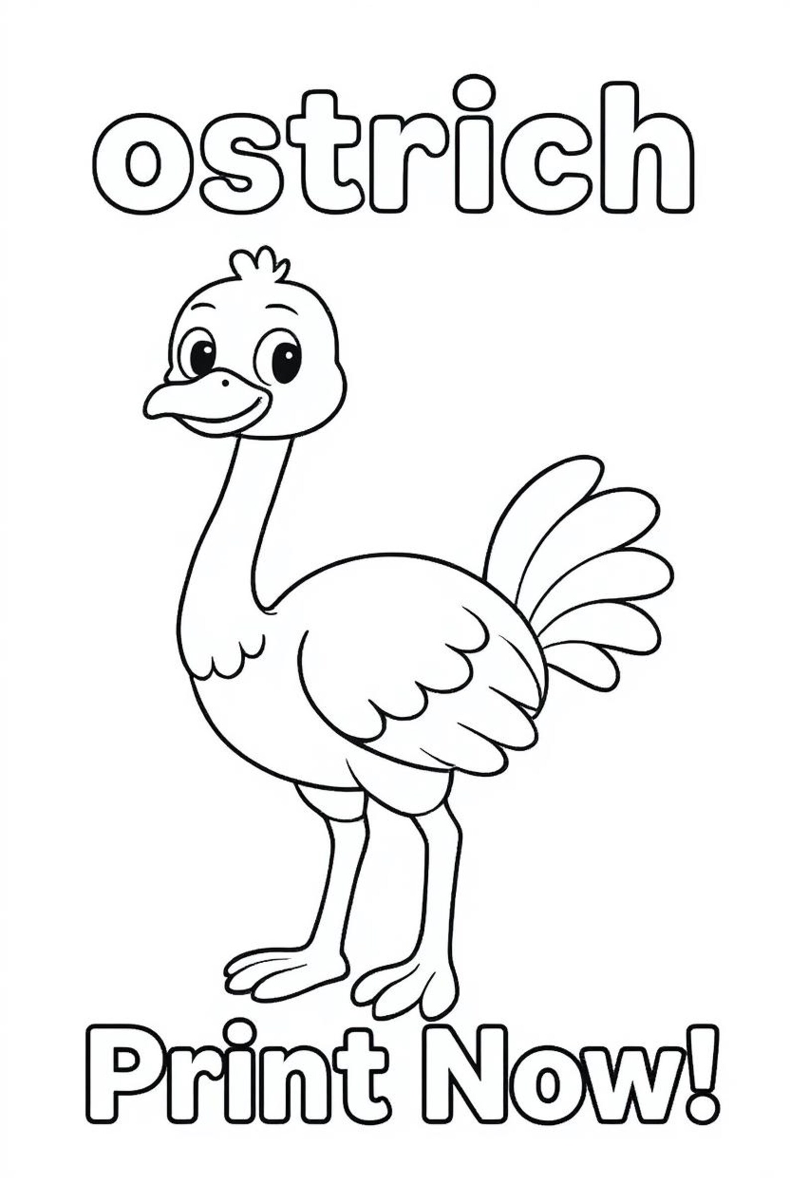 Ostrich Coloring Page Printable: Kids Animal Activity (PDF Download) - Etsy