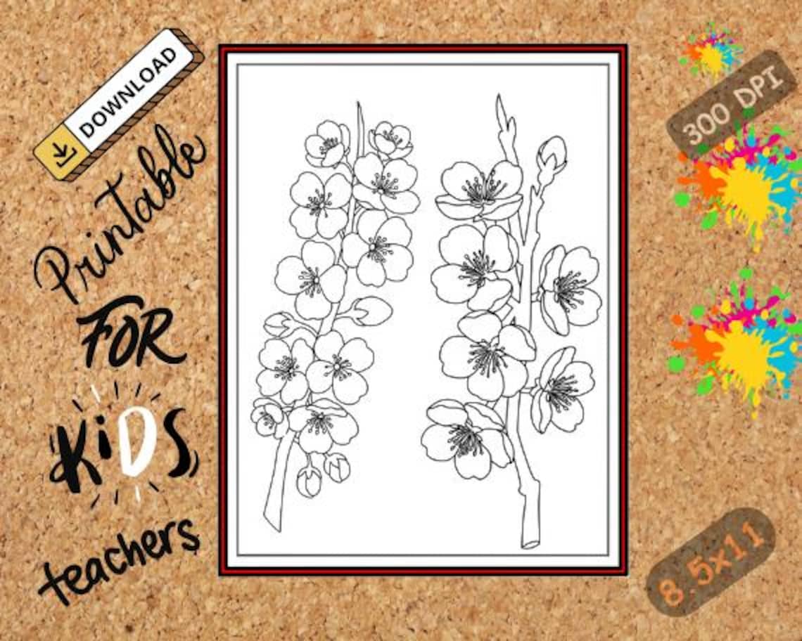Cherry Blossom Coloring Page: Japanese Culture Art (PDF) - Etsy