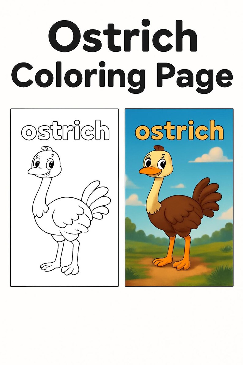 Ostrich Coloring Page Printable: Kids Animal Activity (PDF Download) - Etsy