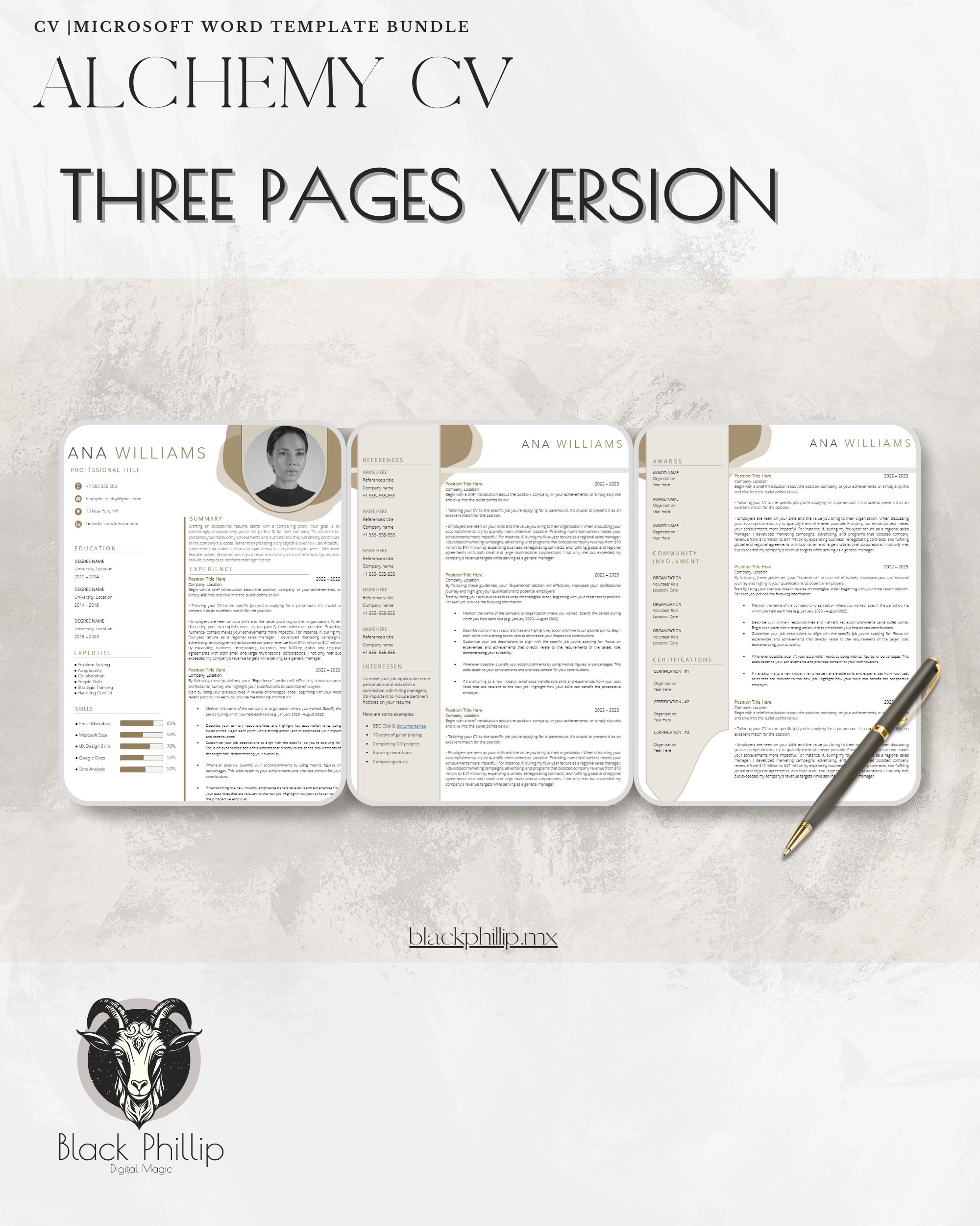 Pofessional CV Template for MS Word Pages & Google Docs - Etsy