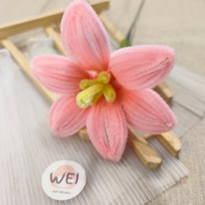 Pipe Cleaners Flower Bouquet,everlasting LILY, TULIPS, DAISY, Forever ...