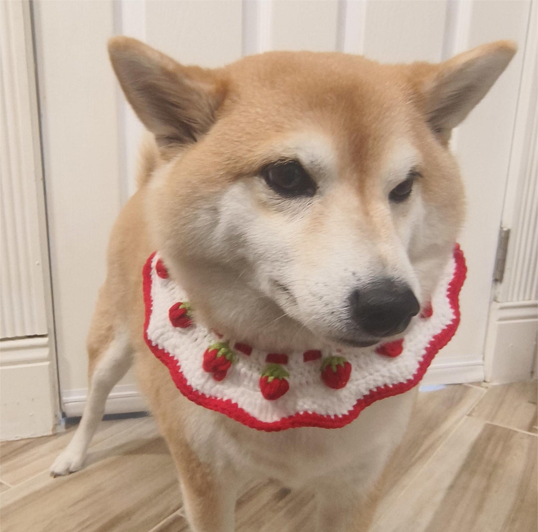Cute Crochet STRAWBERRY Pet Collar, STRAWBERRIES Cat Neckwear, Dog ...