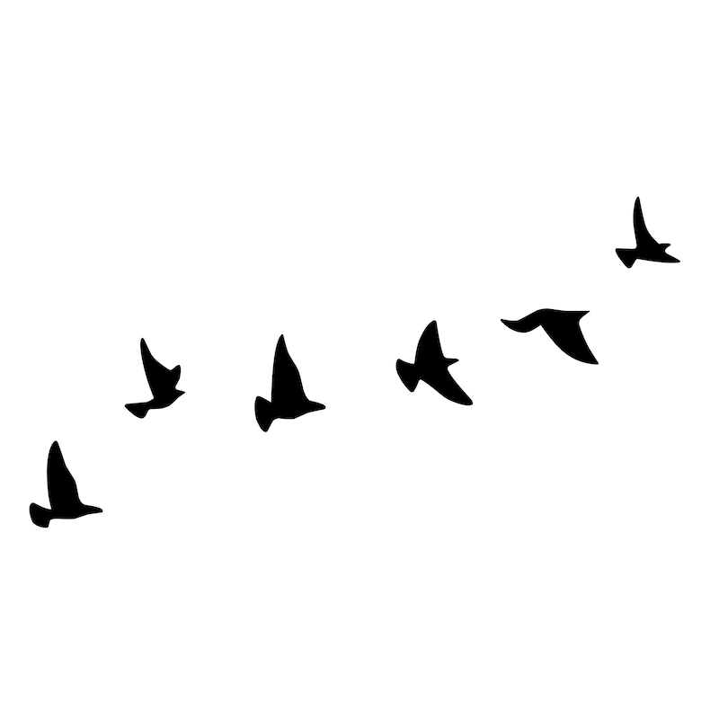 Flock of Crows - Etsy