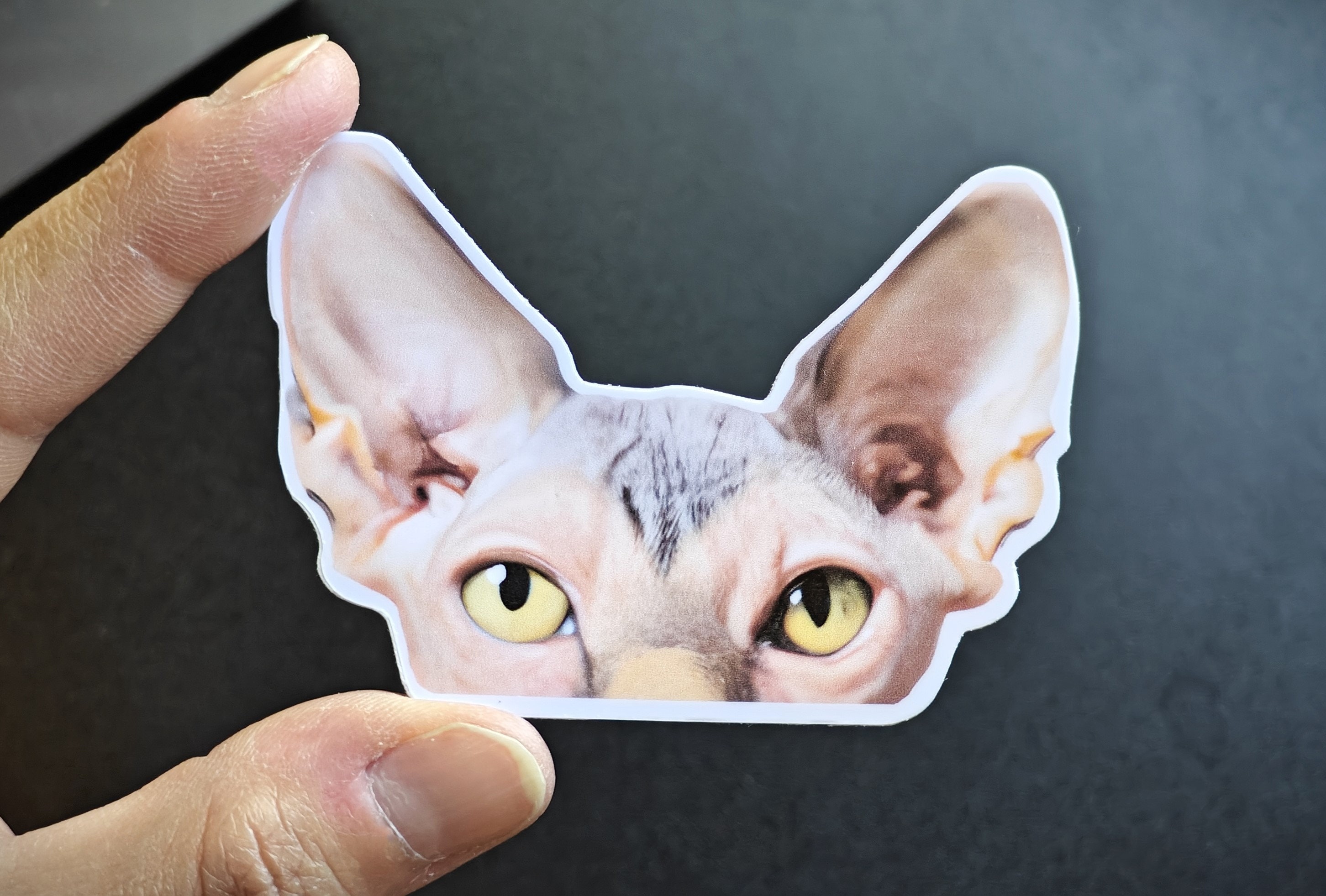 Sphynx Cat Sticker, Gift for Sphynx Cat Mom, Gift for Sphynx Lover ...