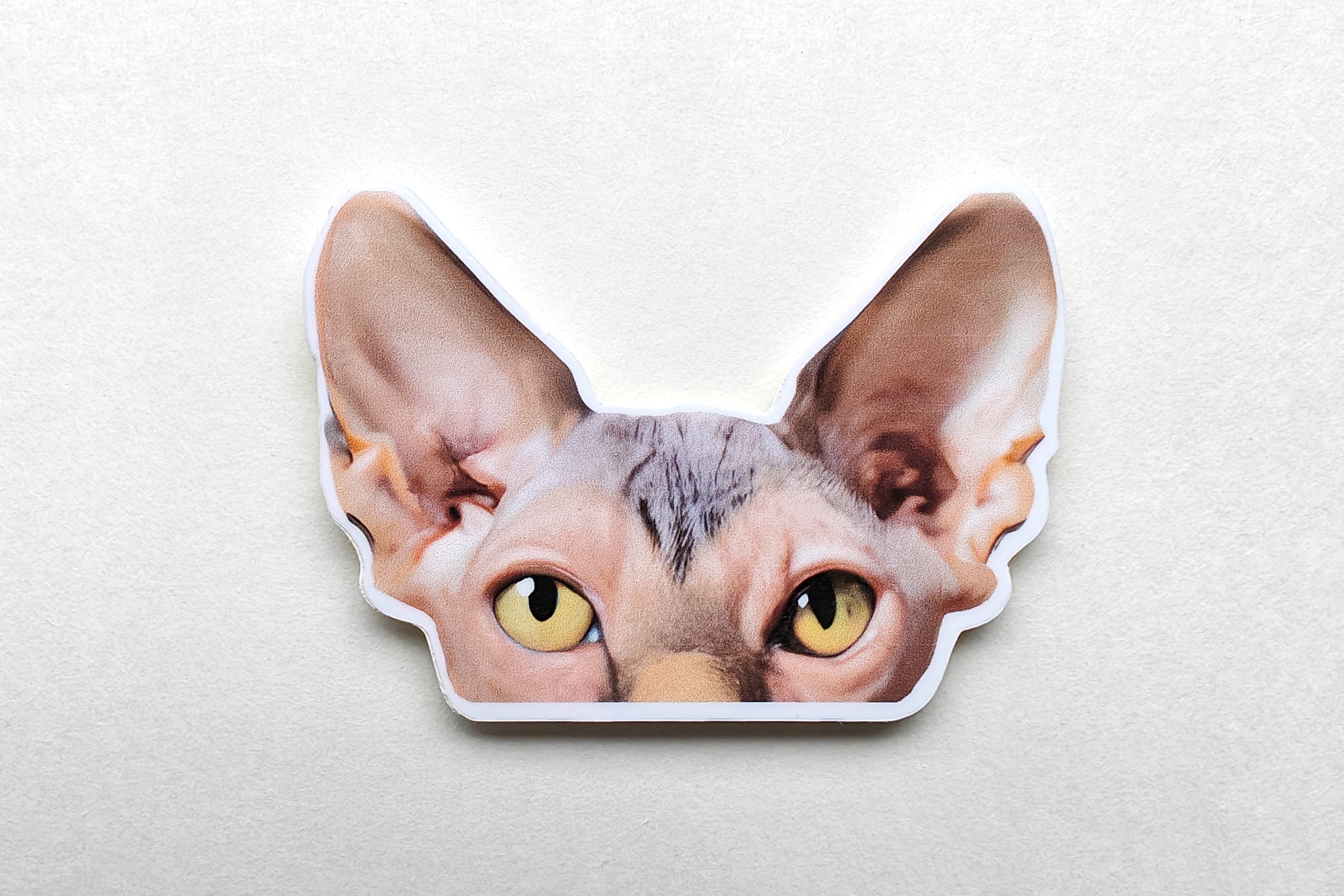 Sphynx Cat Sticker, Gift for Sphynx Cat Mom, Gift for Sphynx Lover ...