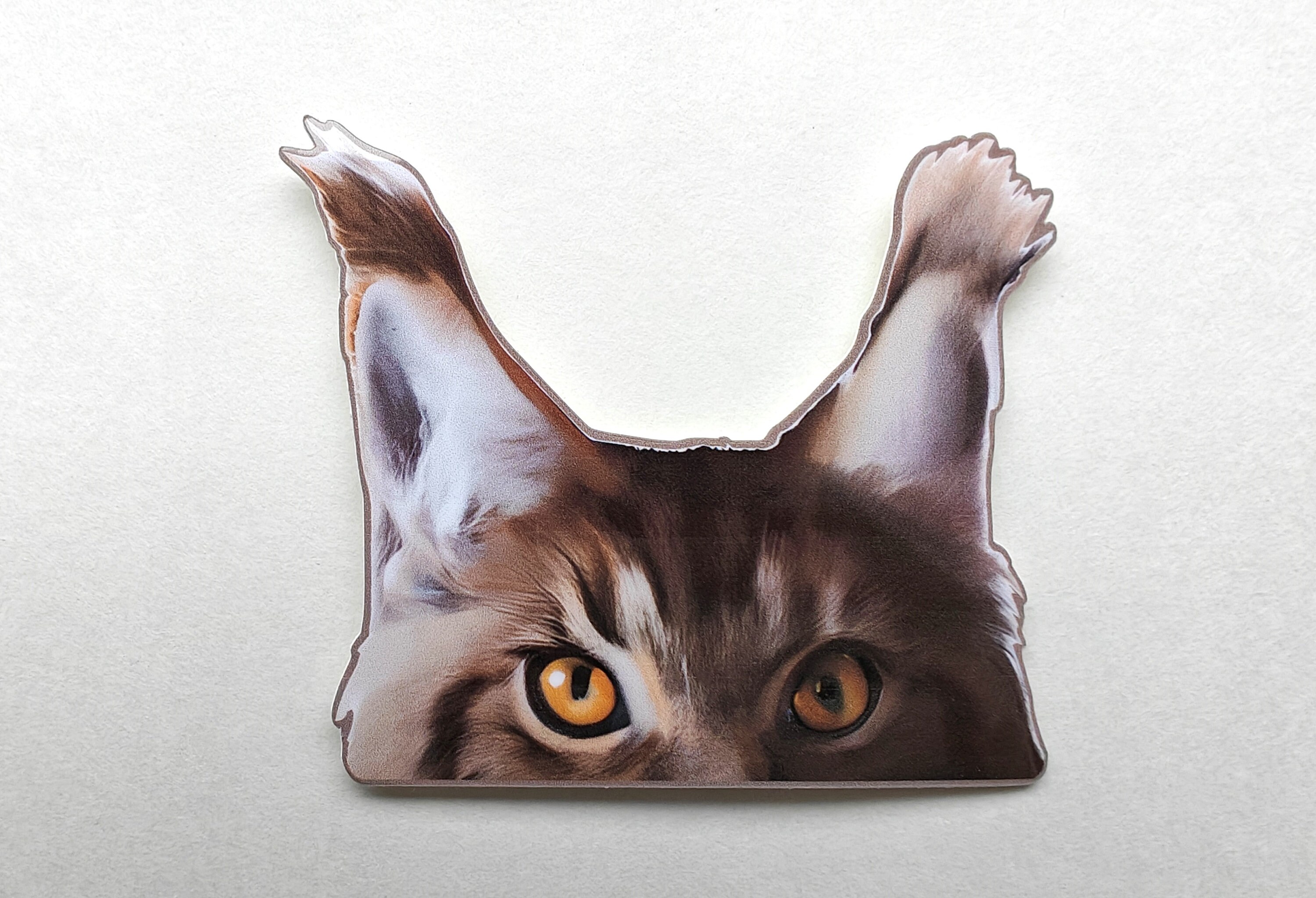 Maine Coon Cat Sticker Gift for Maine Coon Cat Mom Gift for - Etsy