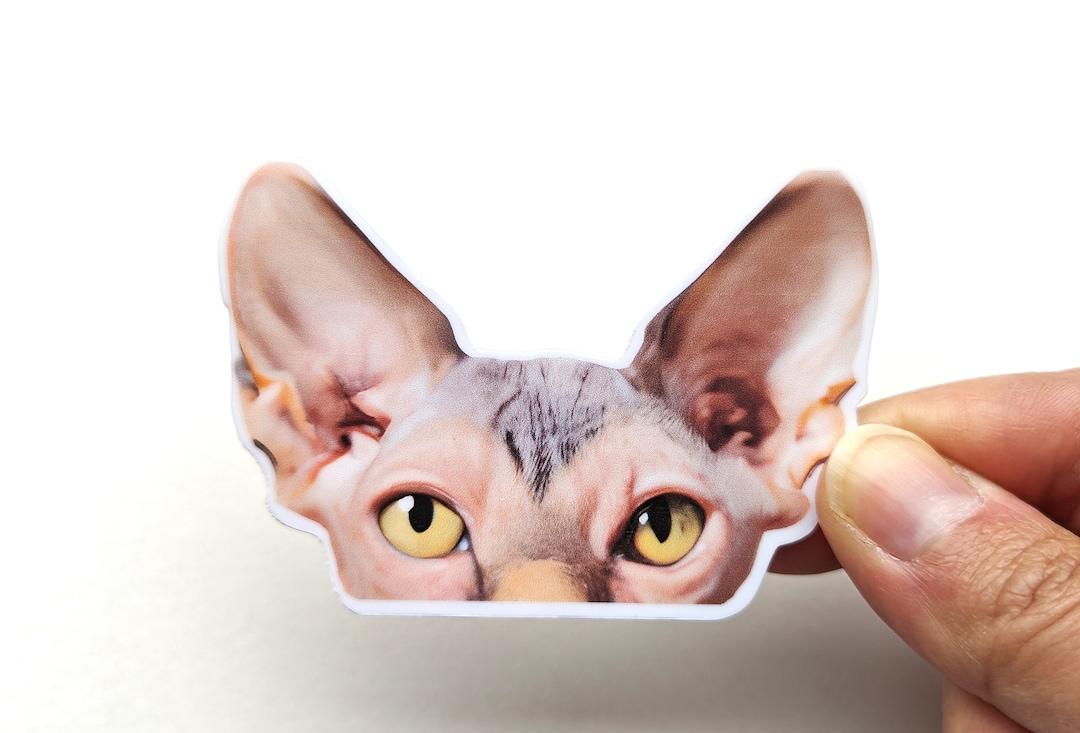 Sphynx Cat Sticker, Gift for Sphynx Cat Mom, Gift for Sphynx Lover ...