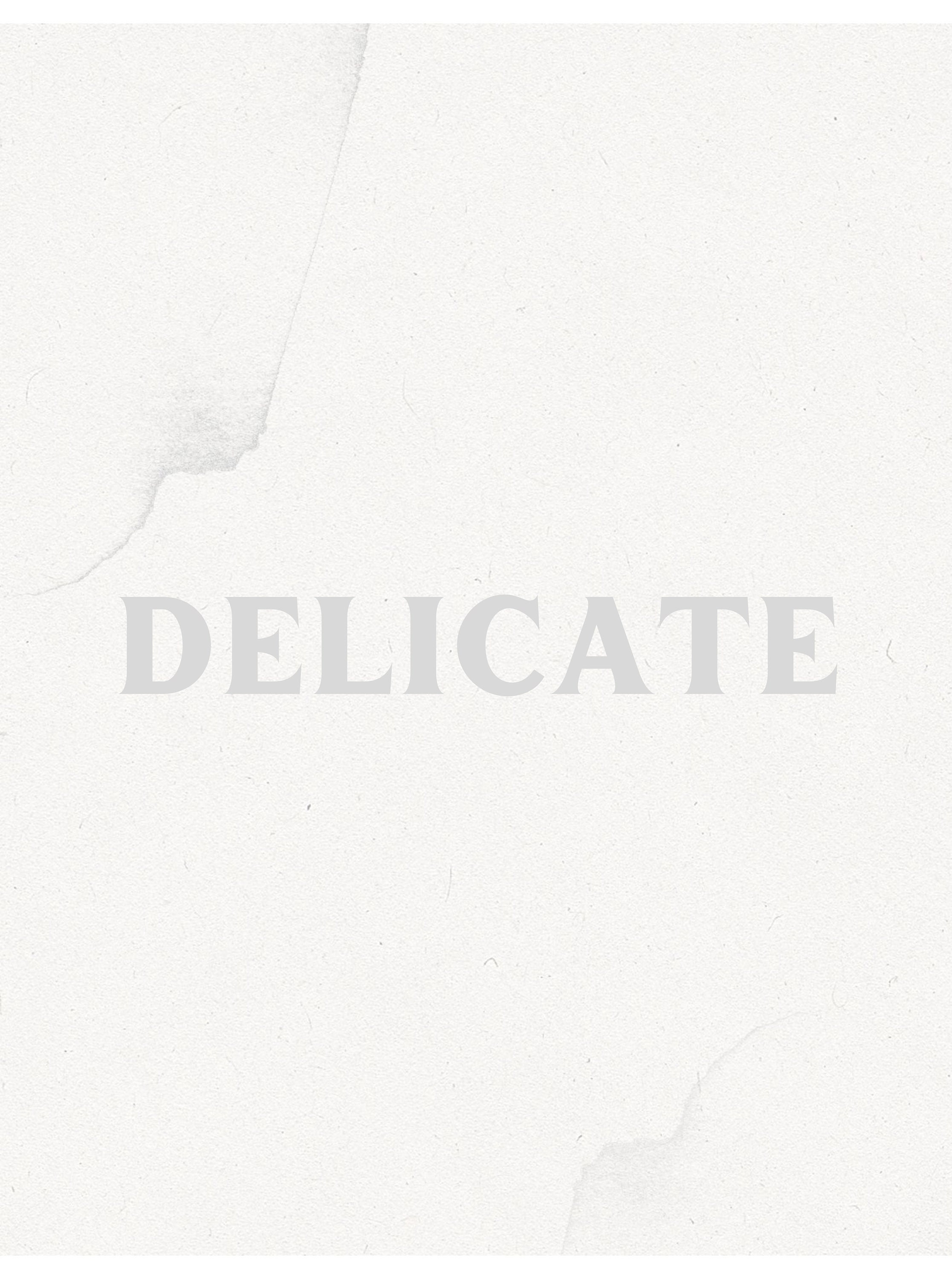 Delicate Word Job Tracker Template - Etsy