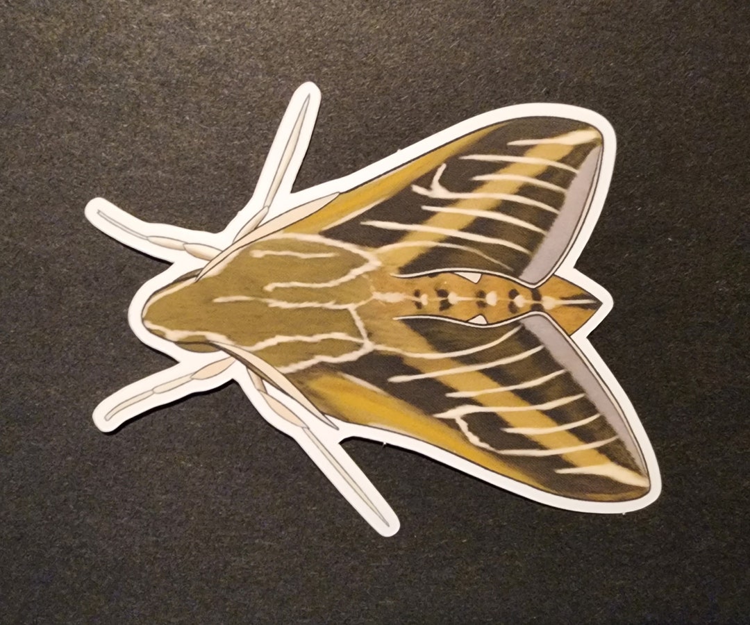 Moth Sticker White Lined Sphinx Sticker Waterproof Sticker Laptop ...