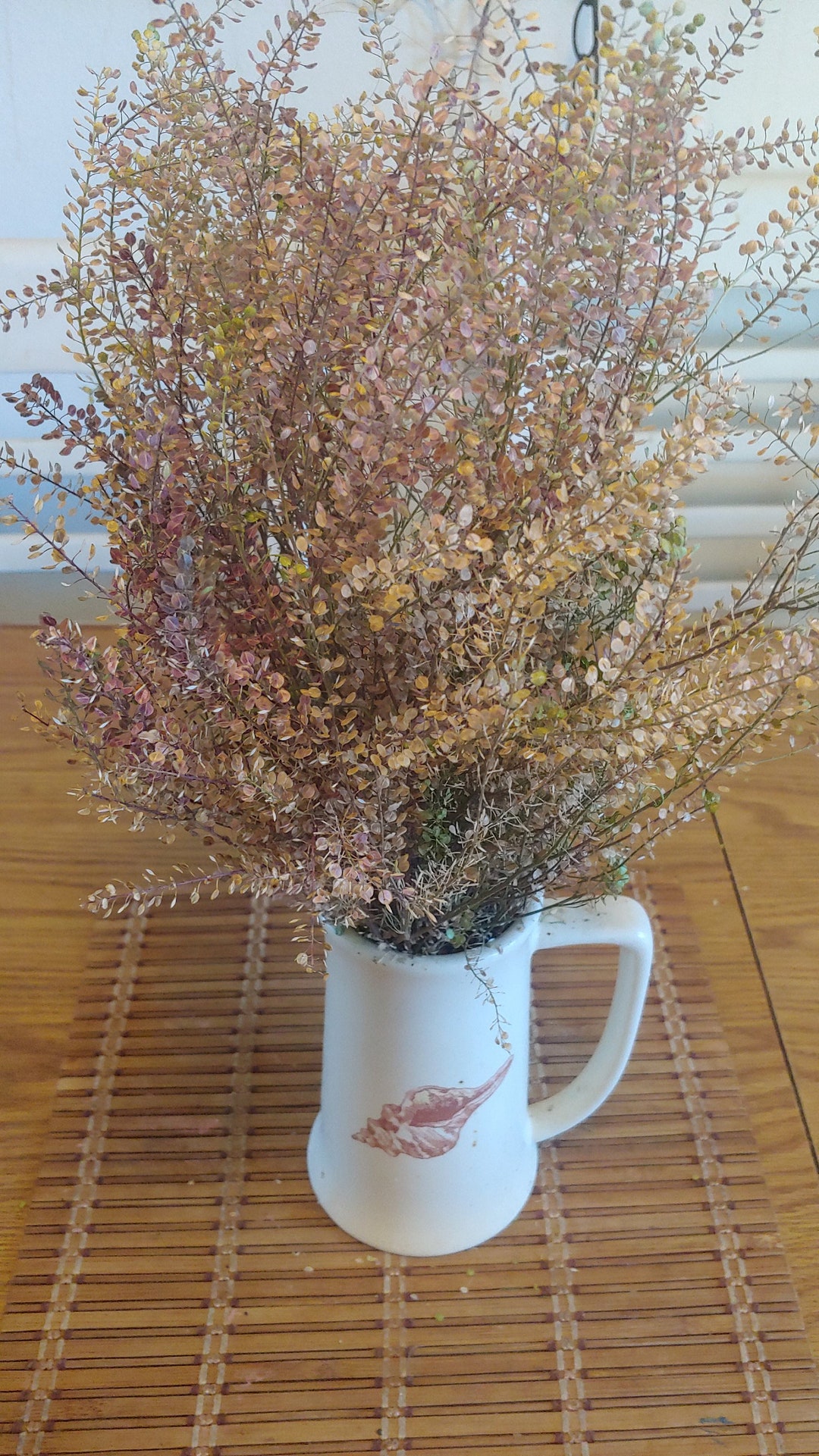 50 Peppergrass, Poor Man's Pepper Lepidium Latifolium Seeds Fresh ...