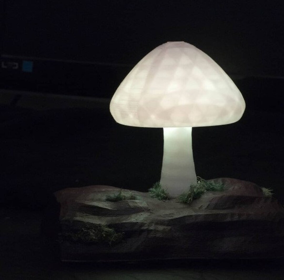Custom 3D Printed and Painted Colour-changing Mushroom Lamp - Etsy