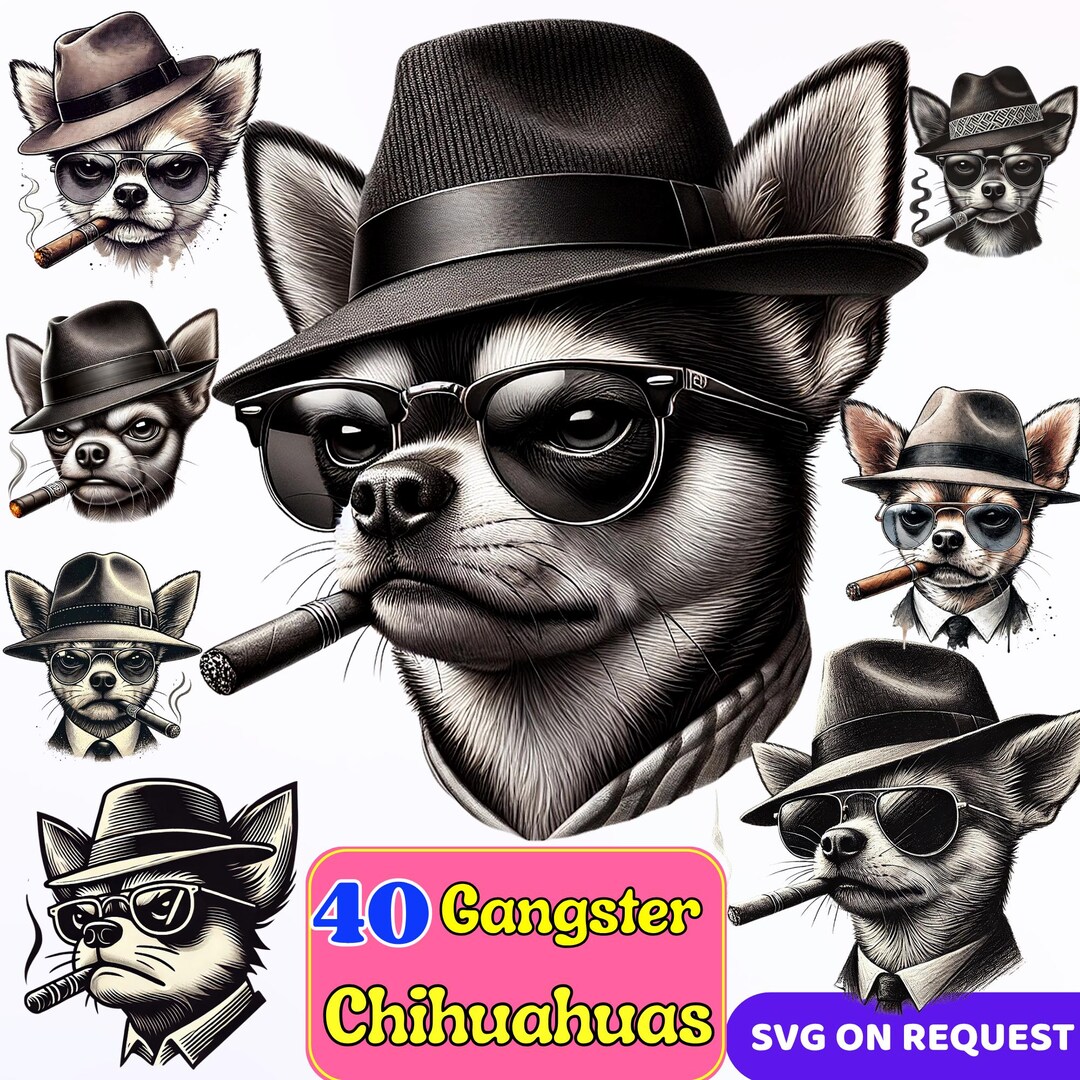 Gangster Chihuahua 40 PNG Clipart Bundle – Mafia Dog, Biker Chihuahua ...