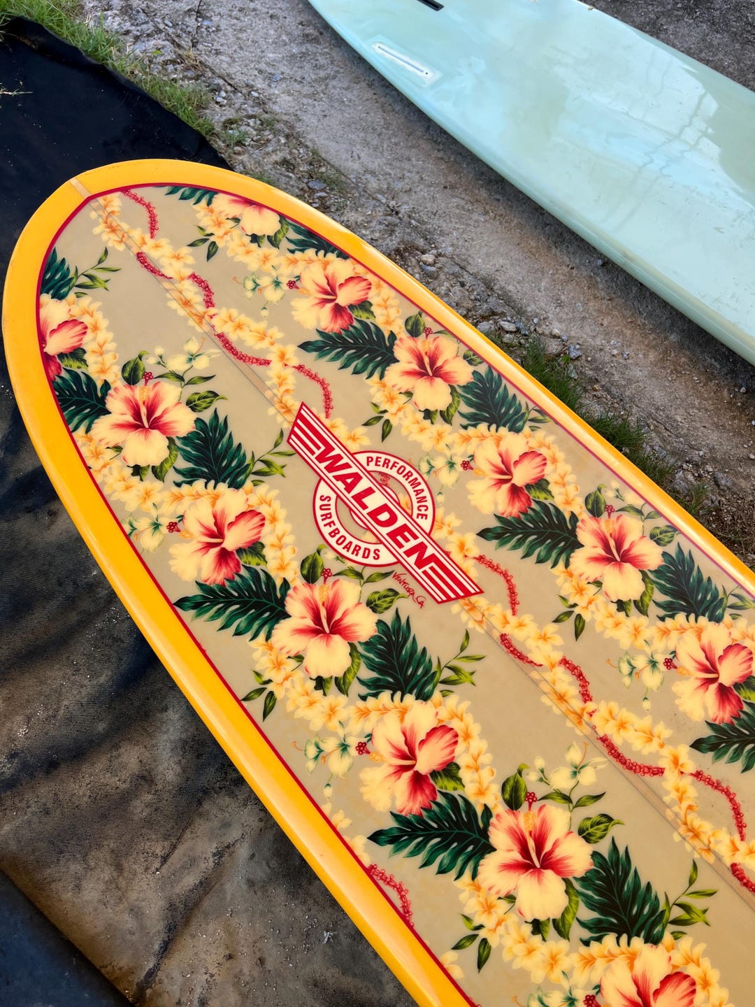 Hight Performance Longboard 9.0 Walden Wahine Model - Etsy